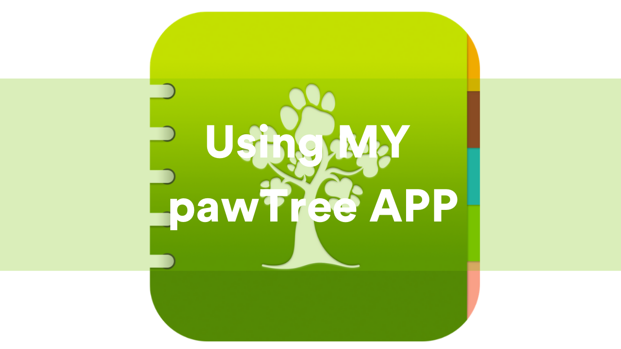 pawTree University