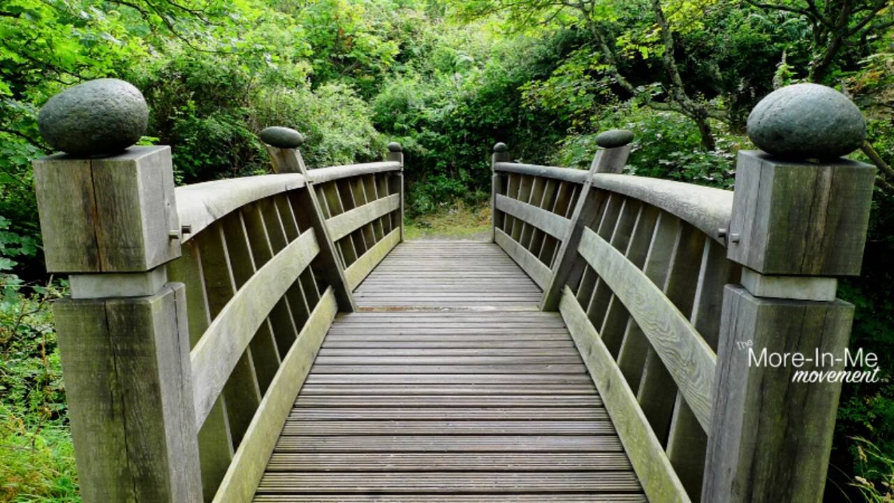 Complex Social Problems: The Change Lab Approach