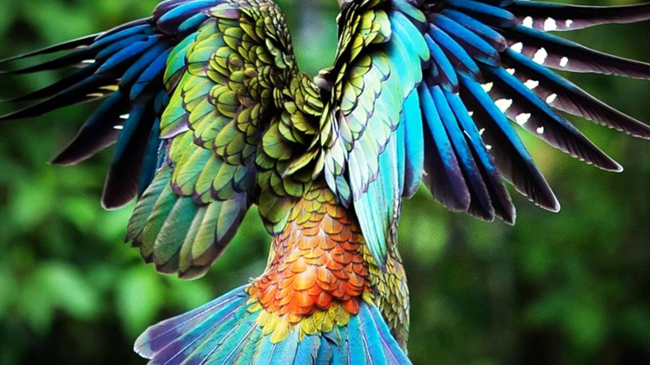 Creativity 101 Course