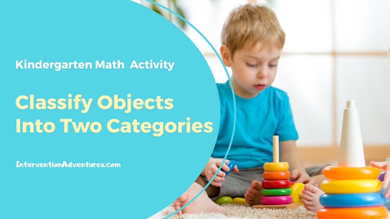 Classifying Objects Into Two Categories