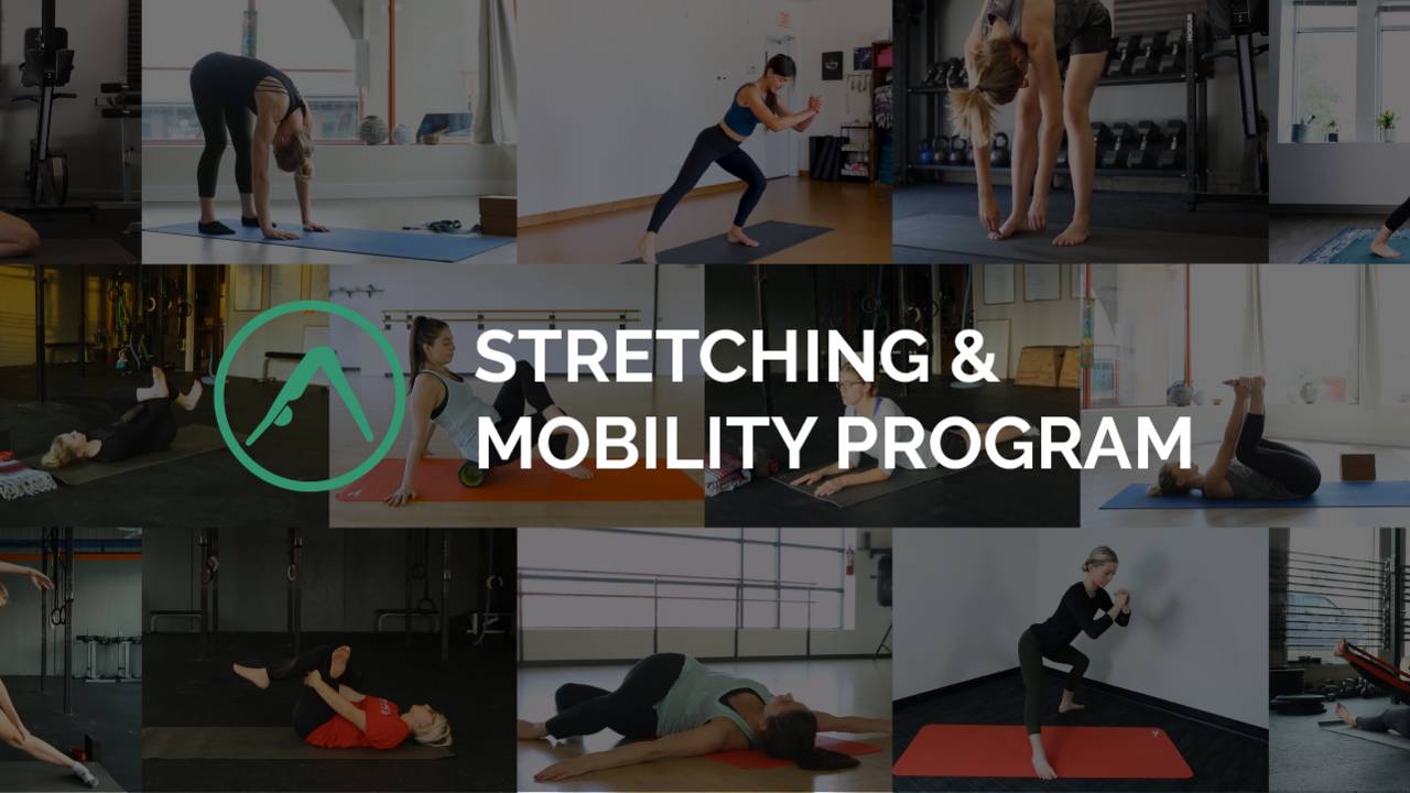 Dynamic Athletics | Stretching & Mobility Training