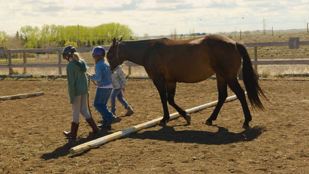 Horse Connections Ruby Camp