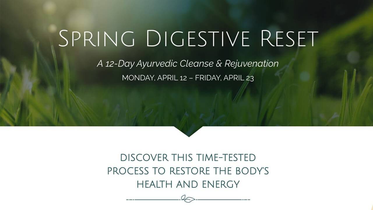 Autumn Digestive Reset by Ivy Ingram