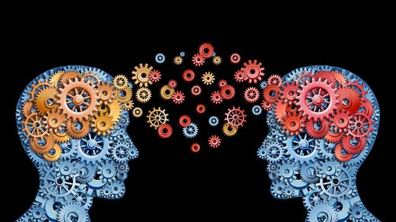 Knowledge – Growth, Education & Exploration