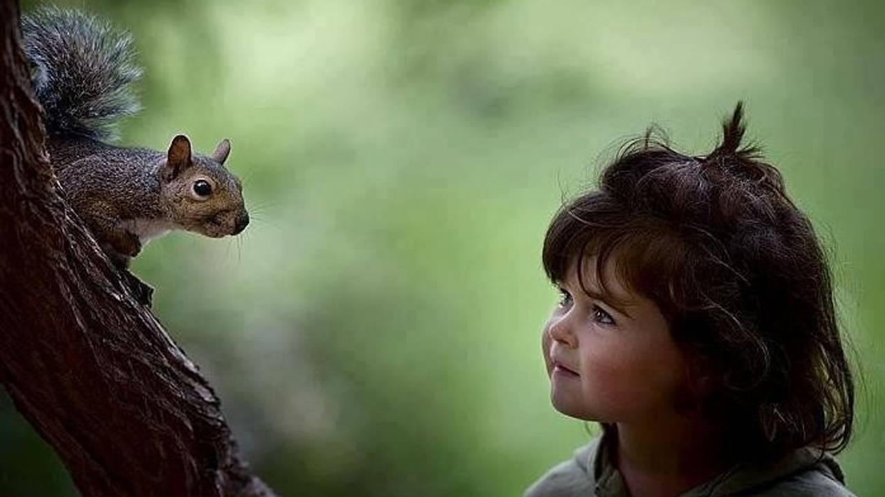 How Animals May Help a Person with Autism