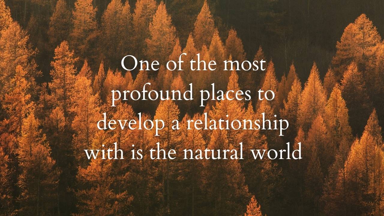 Develop a relationship with the natural world