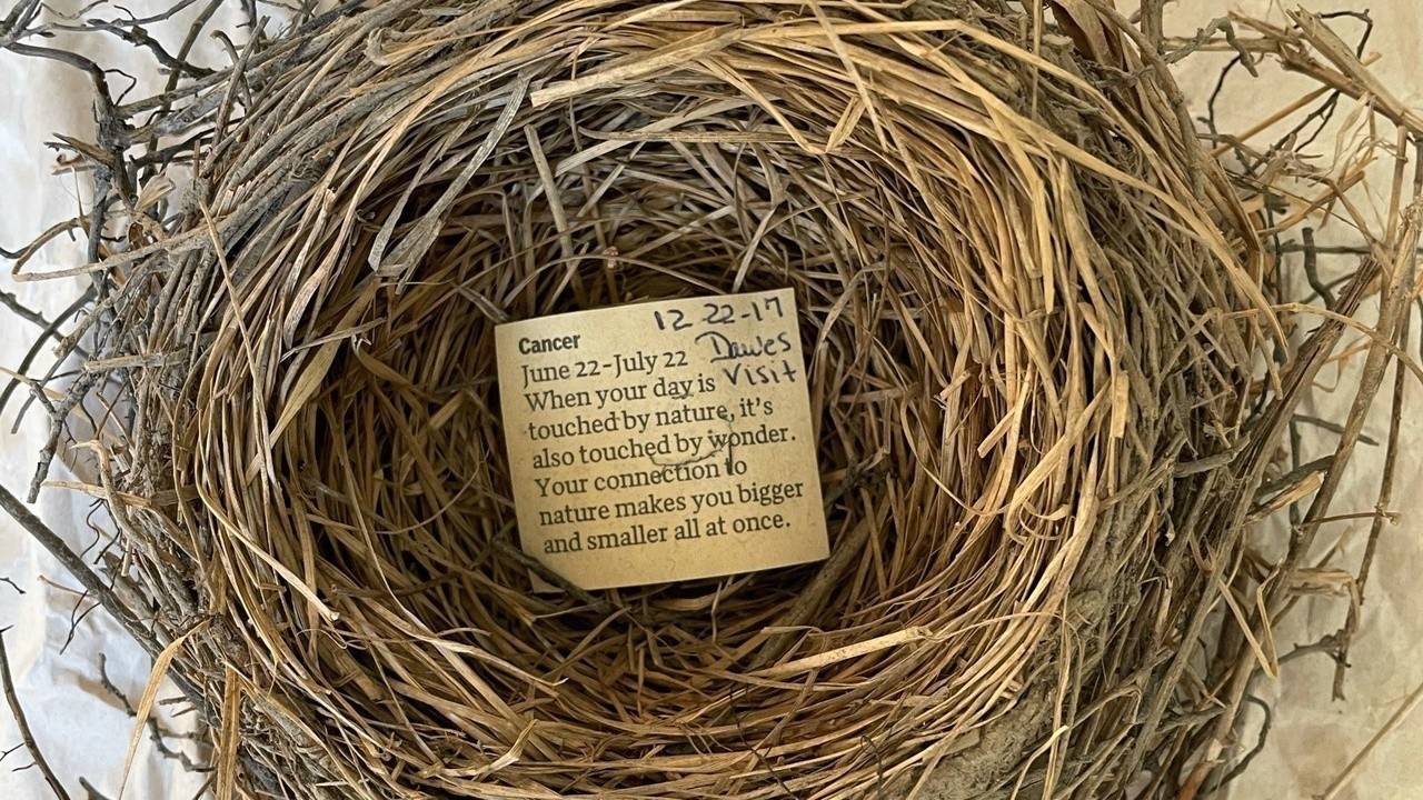 Relocating a special nest