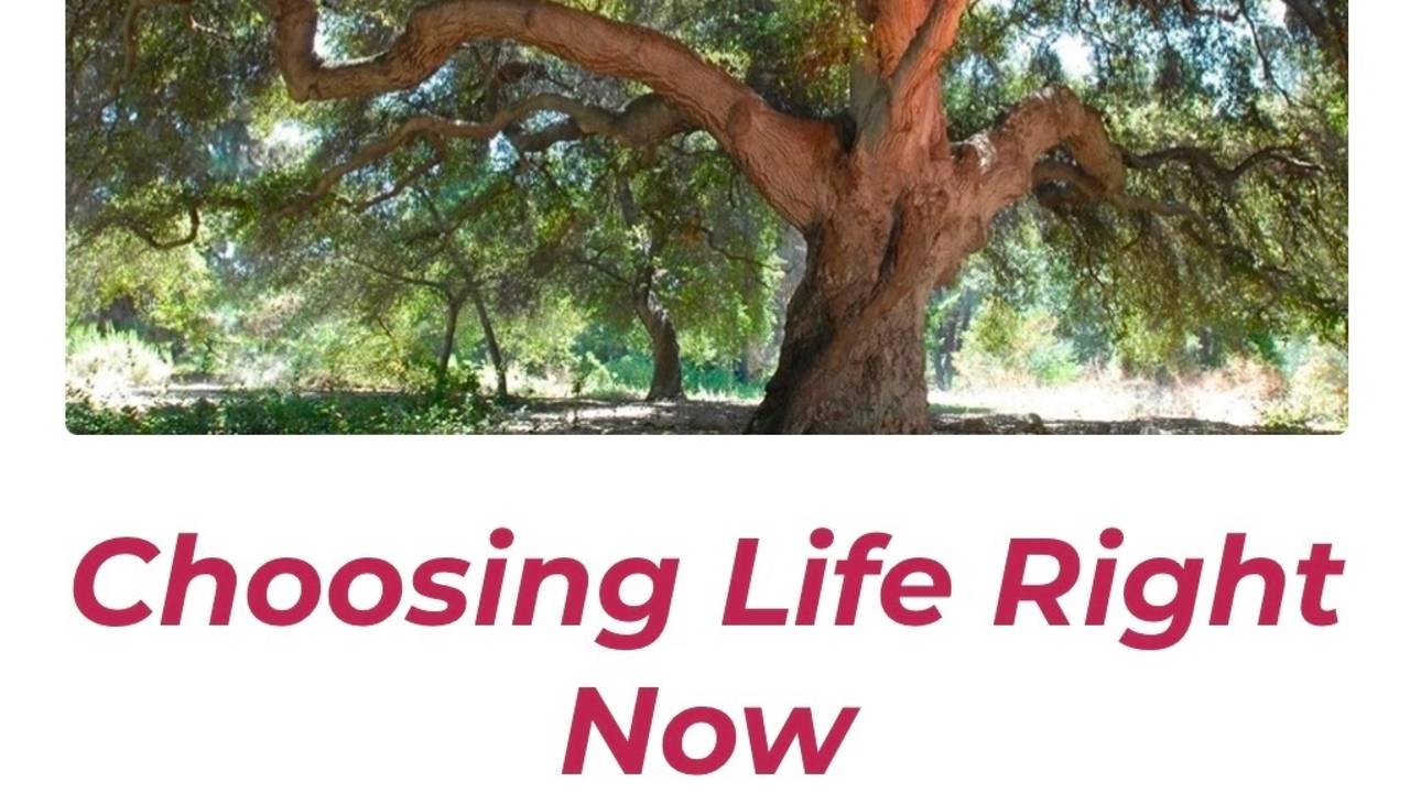 Choosing Life Right Now