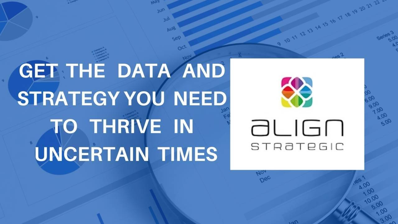 Align Strategic's Business Continuity Implementation Audit for CEOs