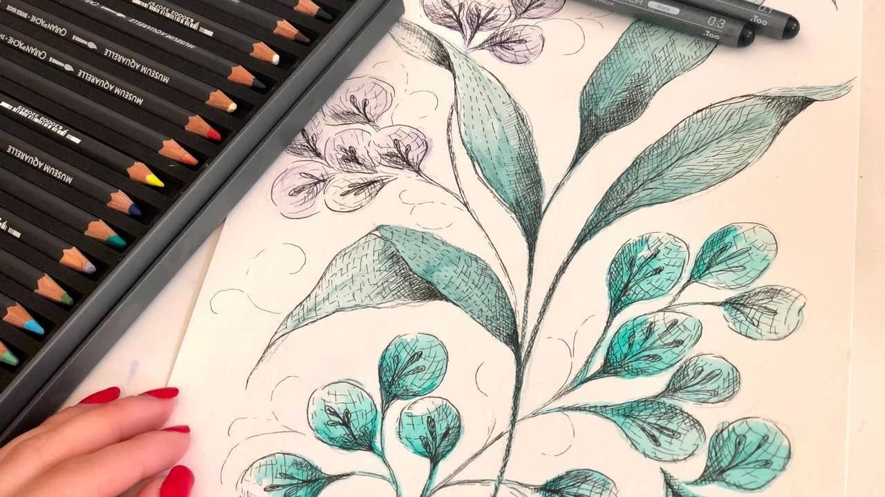 Cross Hatch and Watercolor Illustration