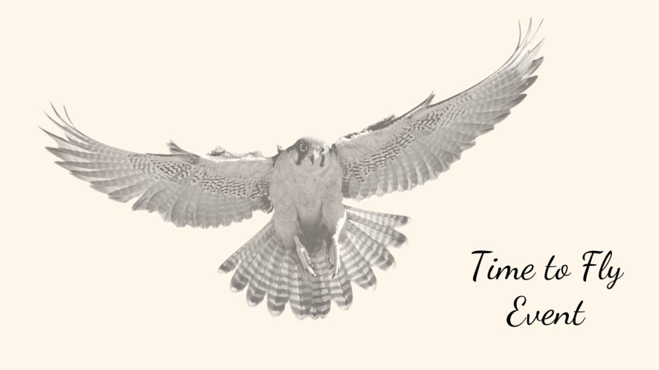 Time to Fly Event