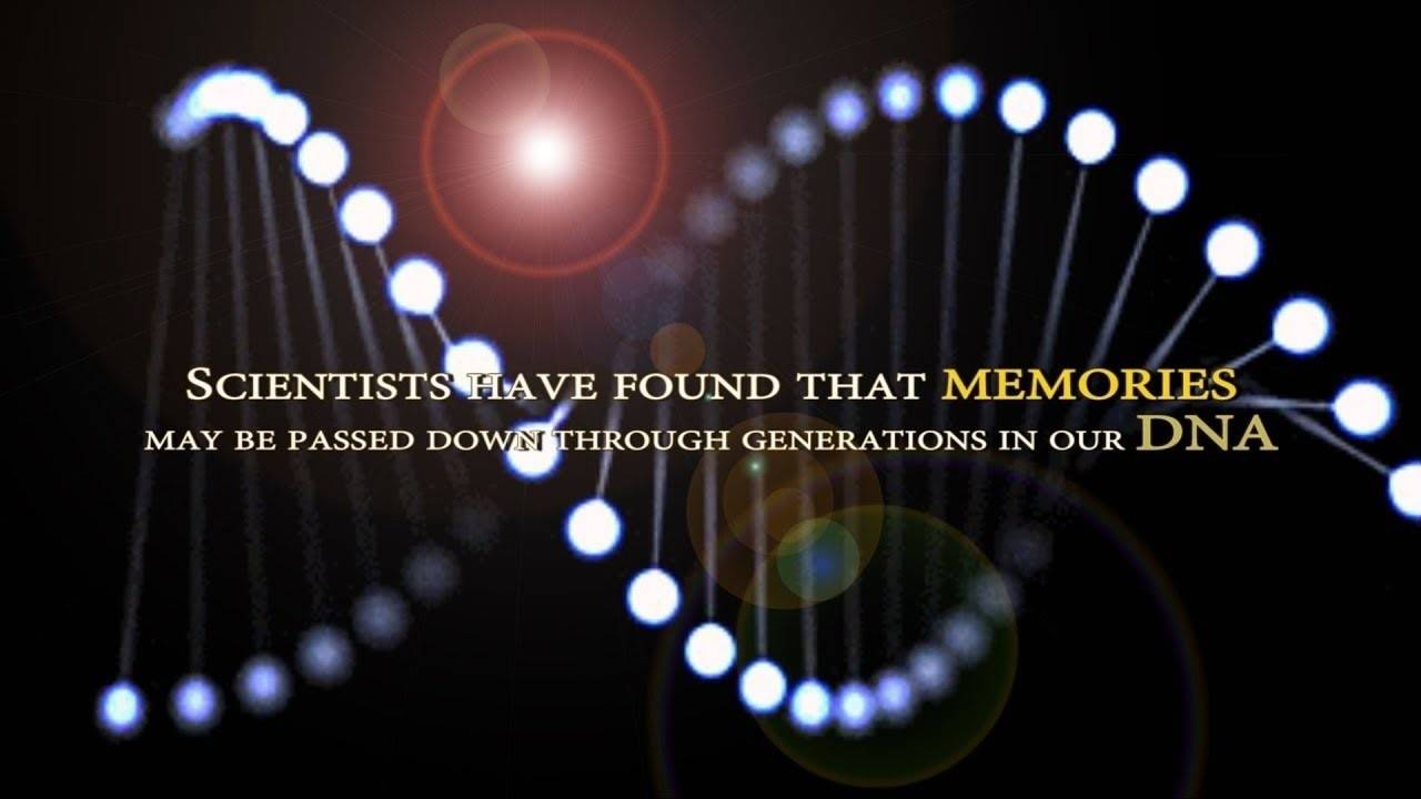 Memories Can Pass Between Generations Through DNA