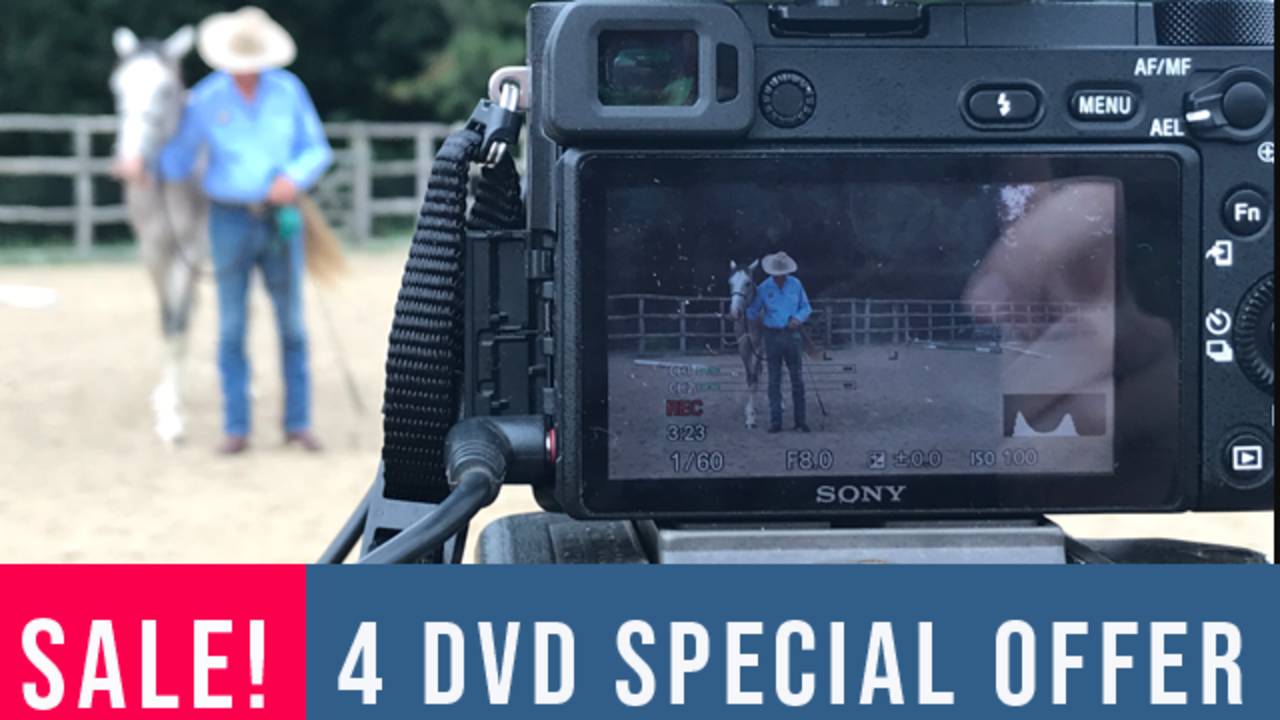Steve Halfpenny 4 DVD SPECIAL OFFER