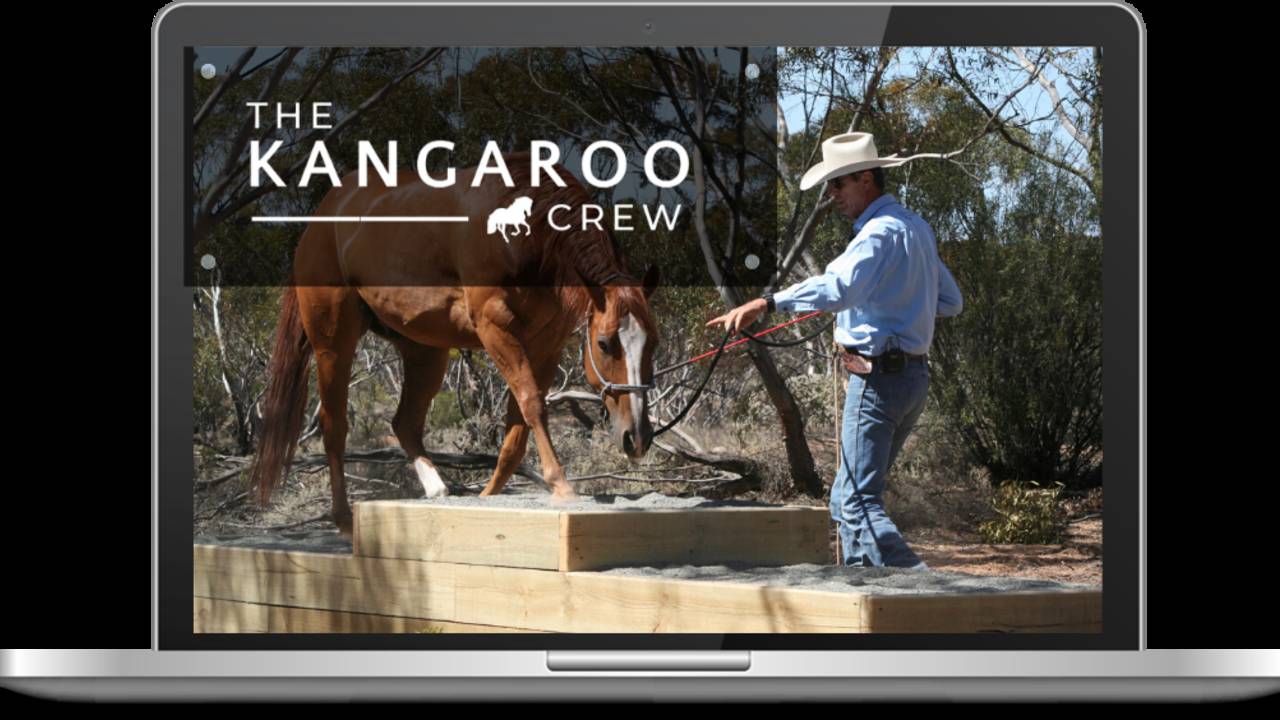 The Kangaroo Crew with Steve Halfpenny