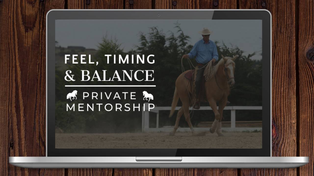 Private Mentorship with Steve Halfpenny