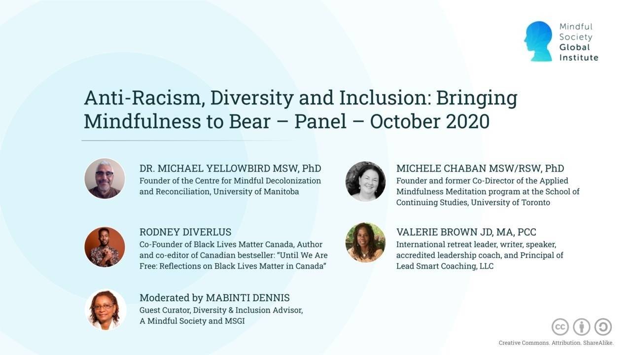 Anti-Racism, Diversity and Inclusion - Bringing Mindfulness to Bear