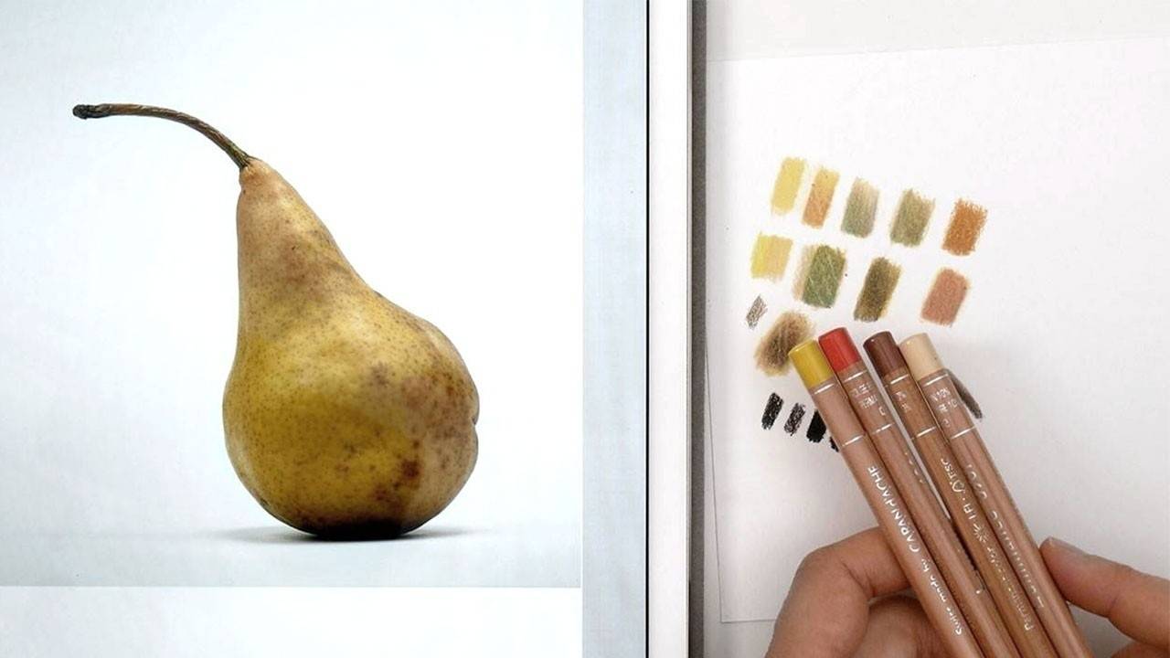 Learning to see color