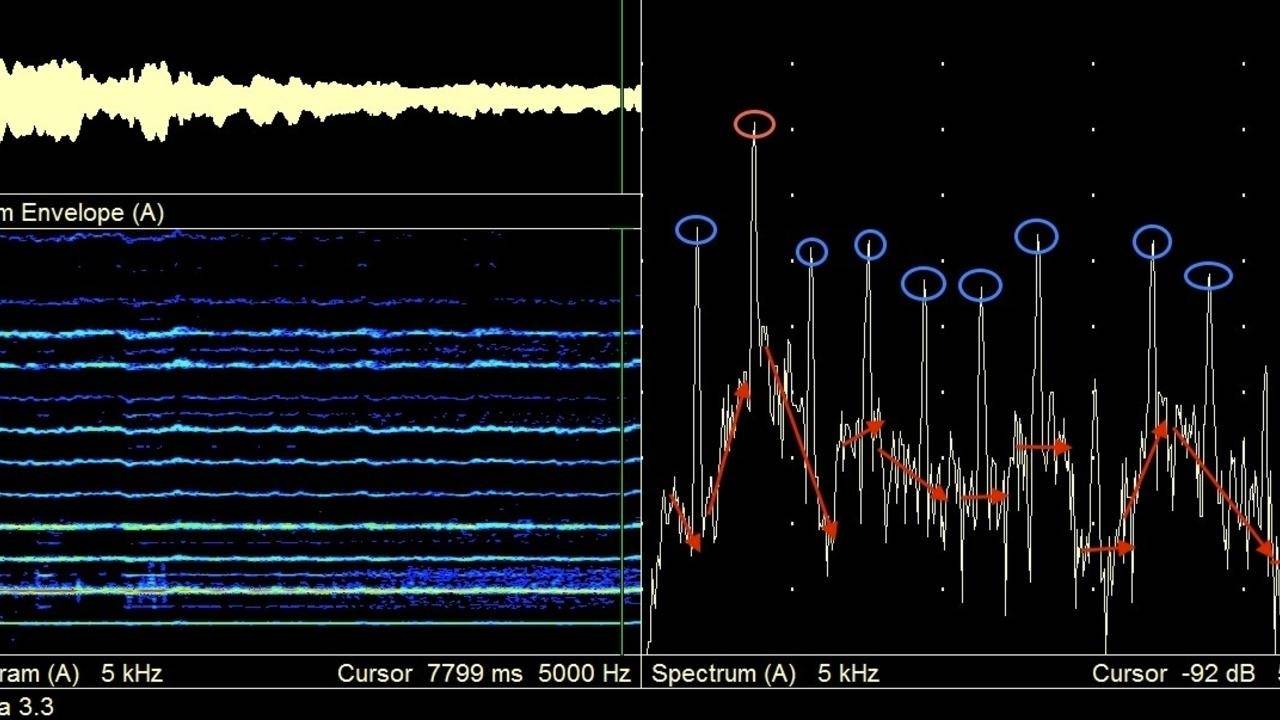 What Does Science Say About TVS Training Techniques?