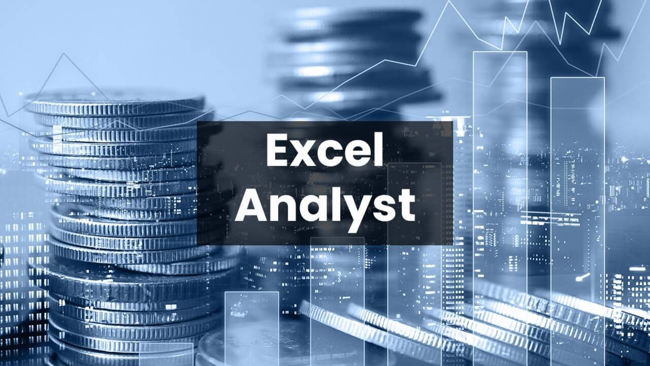 Excel Analyst