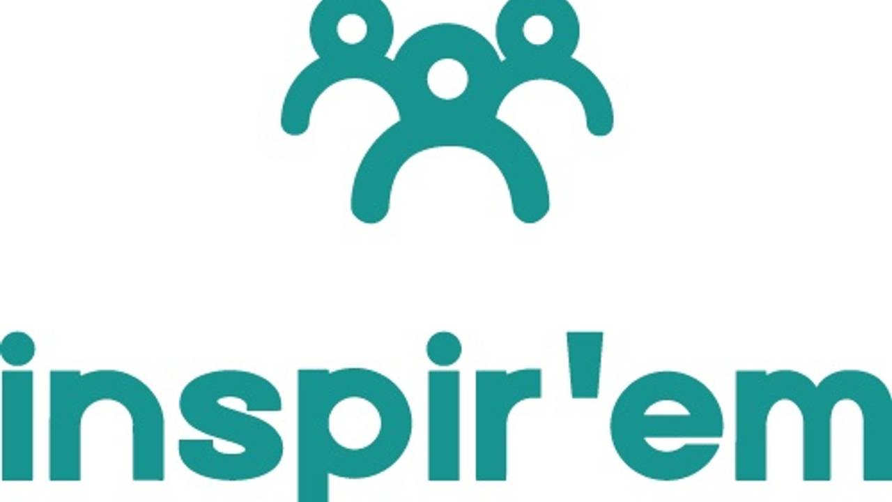 Luminary Cloud Inspir Em Case Study