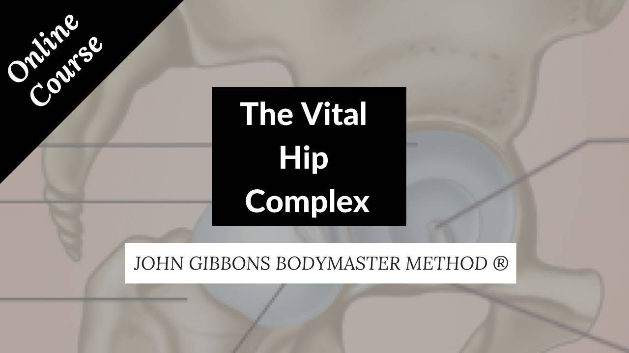 The Vital Hip Complex Online Course