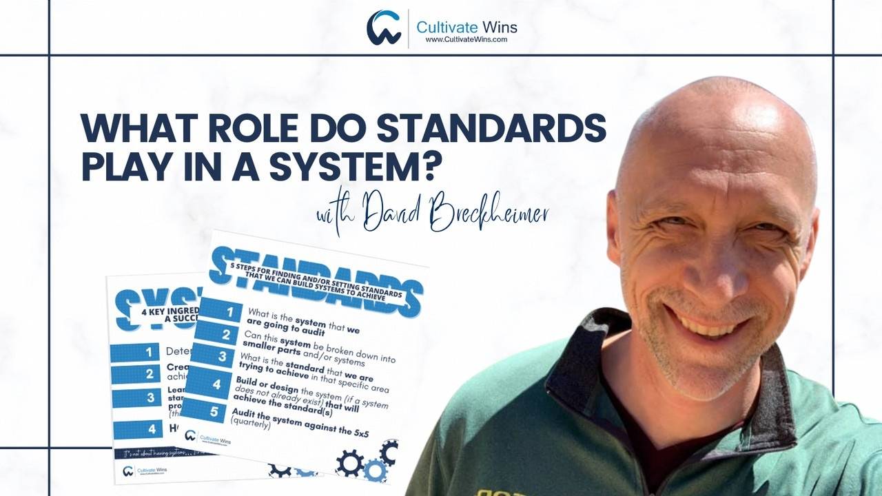 What Role Do Standards Play In A System?