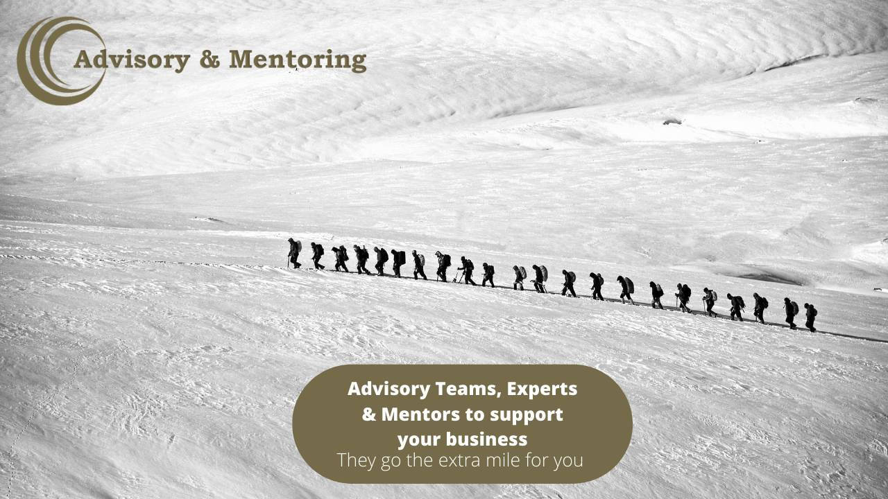 Advisory & Mentoring