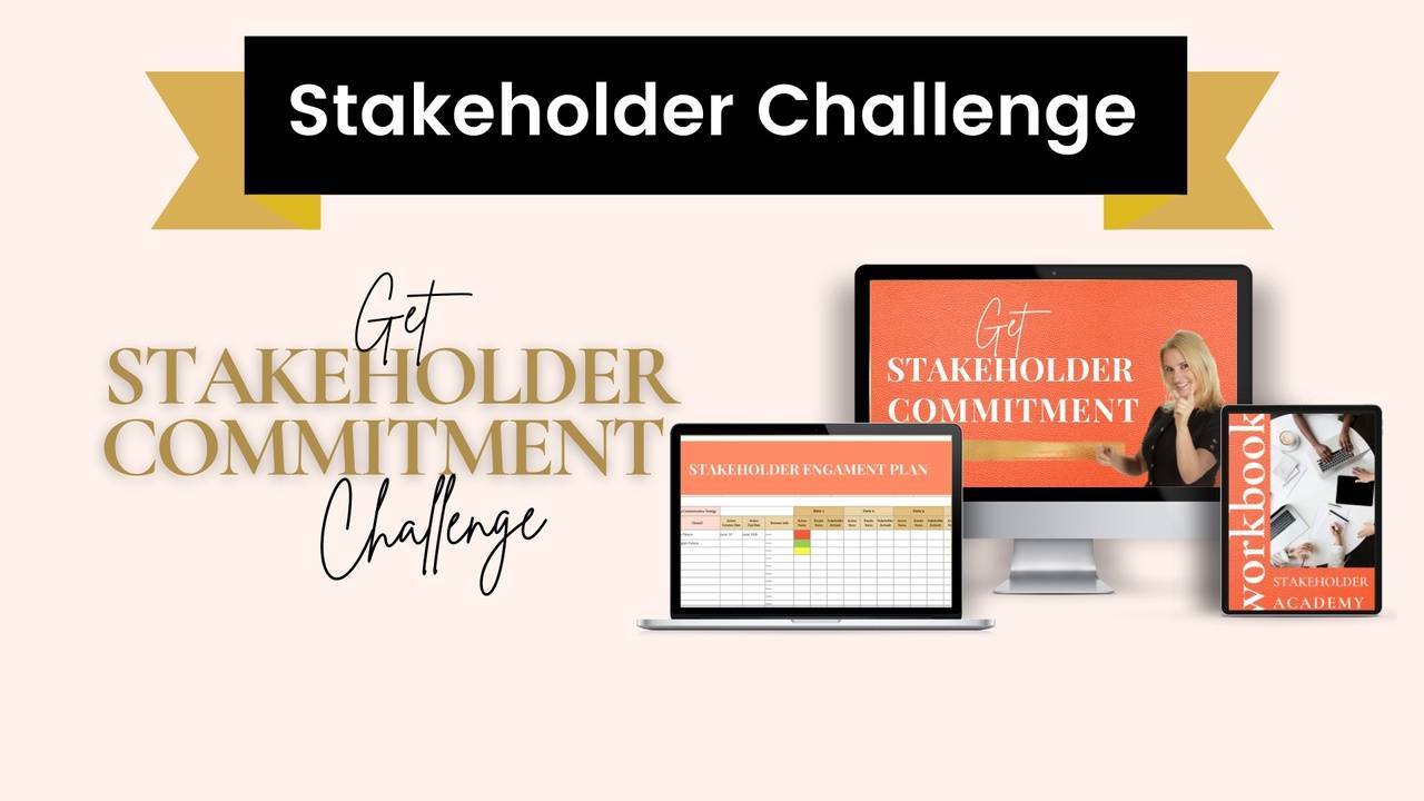 Stakeholder Commitment Challenge