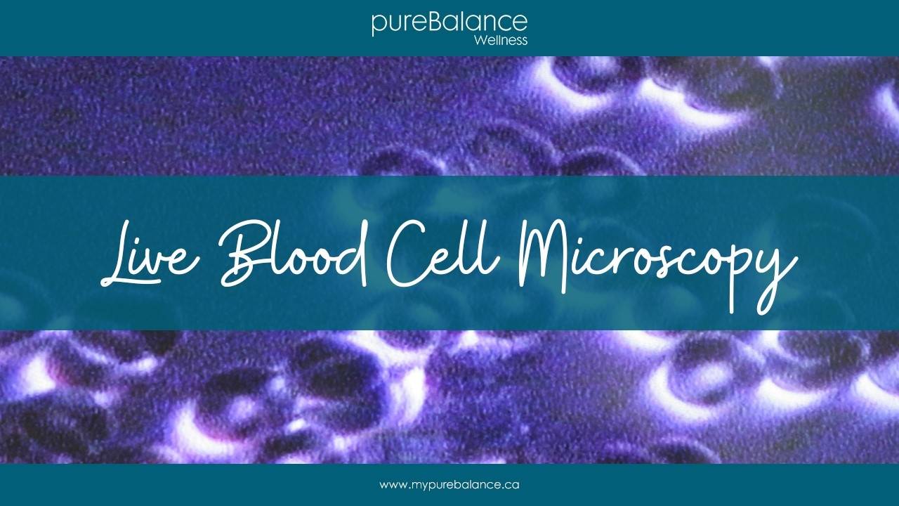 Live Blood Cell Analysis in Port Credit | pureBalance Wellness