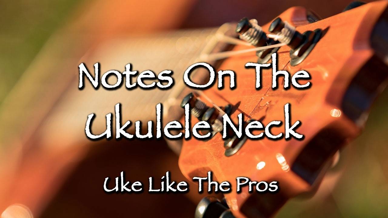 Notes On The Ukulele Neck