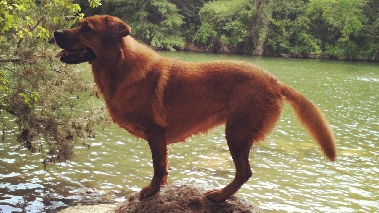 The life changing 'wait' command