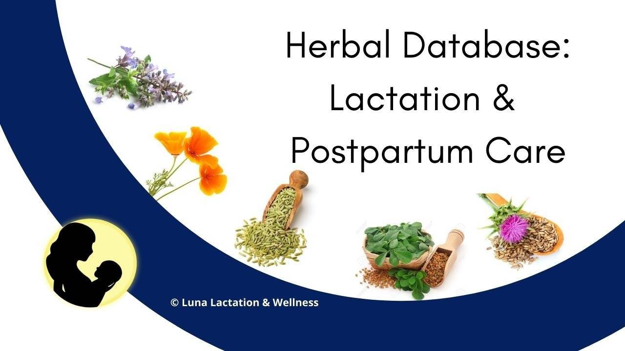 Luna Lactation & Wellness Herbal Database