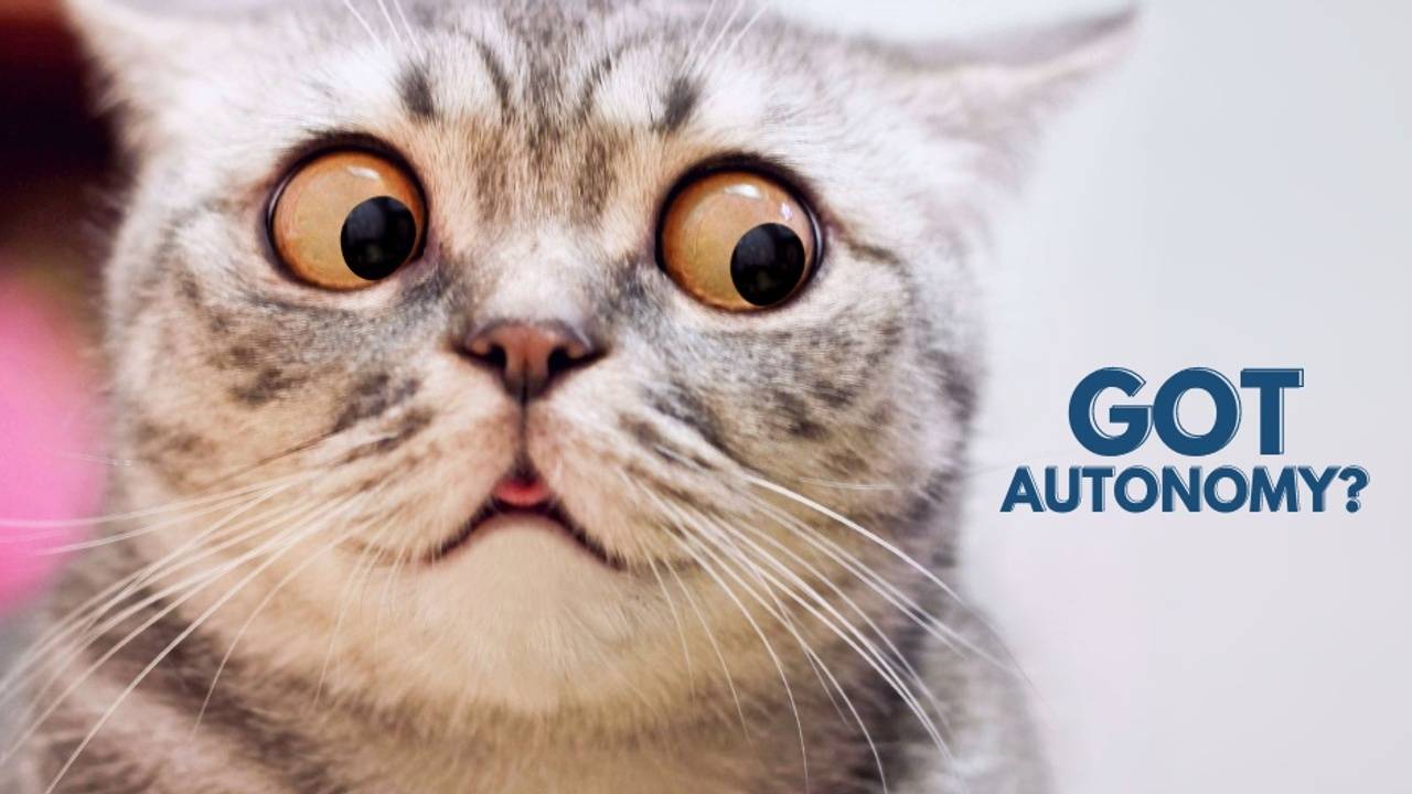 How Autonomous Are You Really?