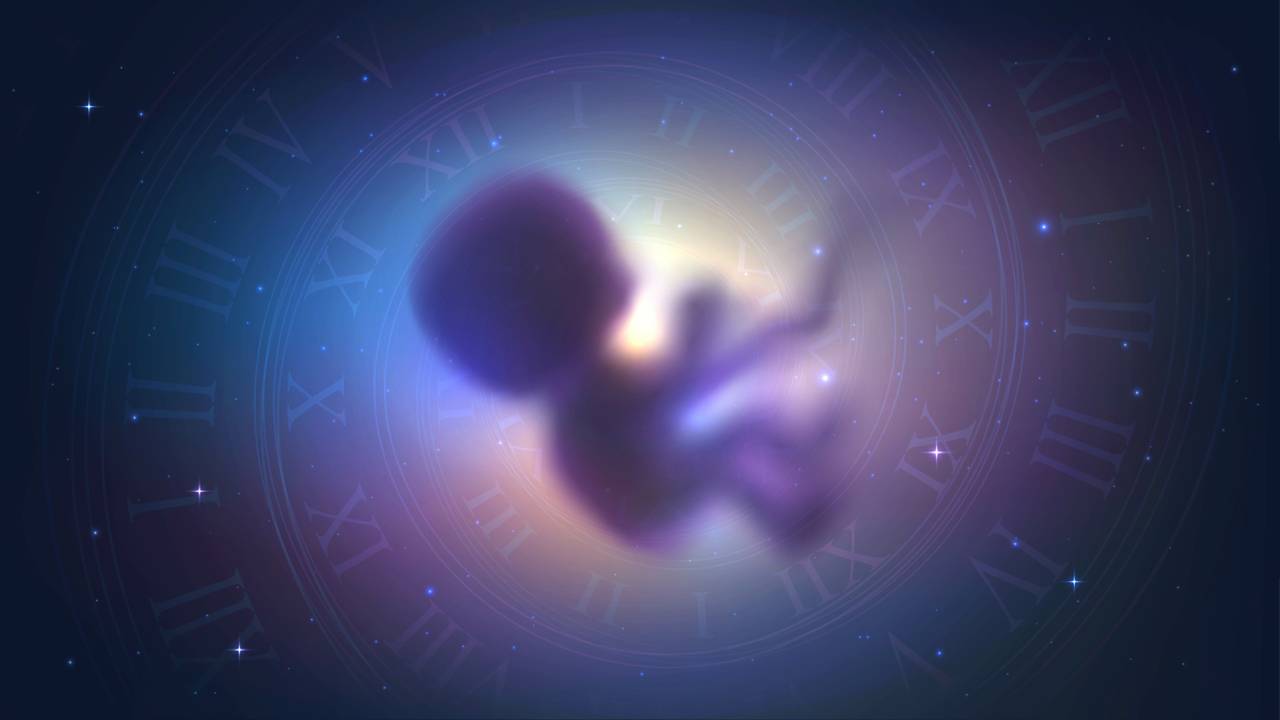 Past Life Exploration Masterclass