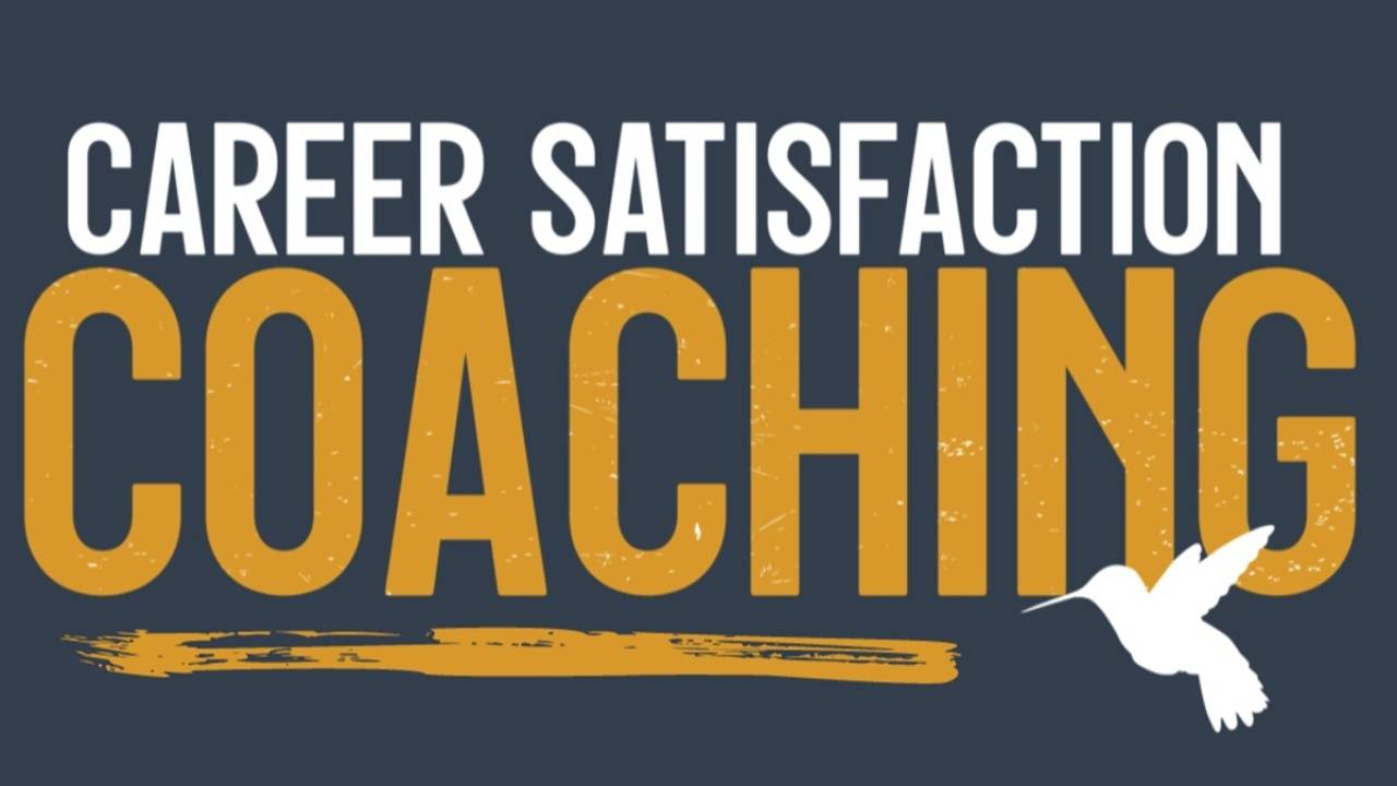 1:1 Career Satisfaction Coaching