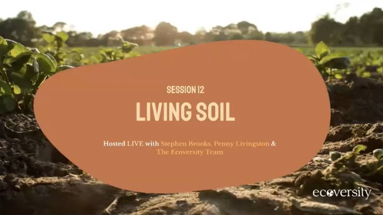 Session Twelve Recording Pdc