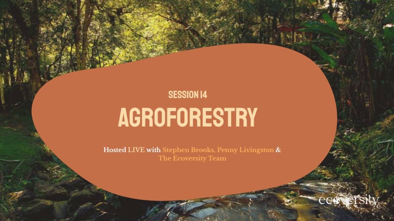 Session Fourteen Recording | PDC