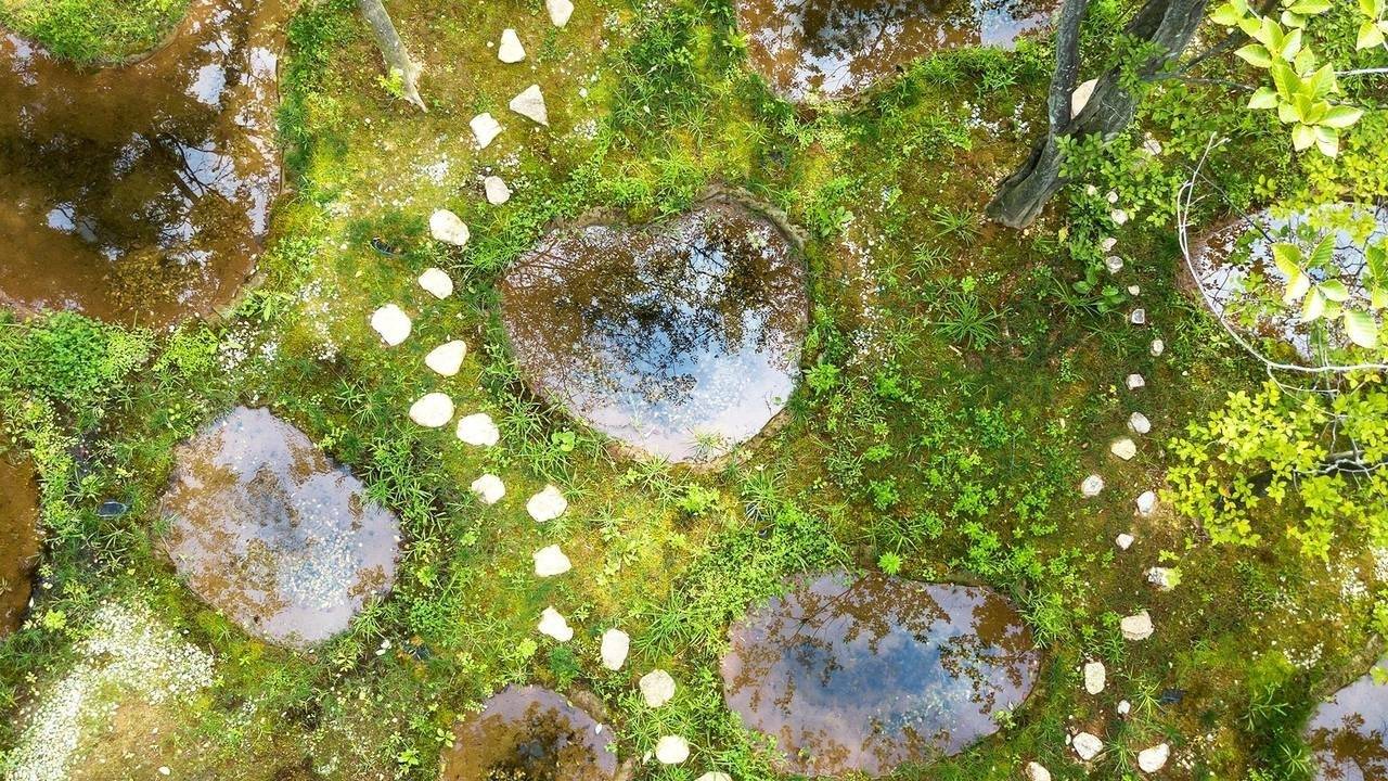 ART BIOTOP NASU - NEWS