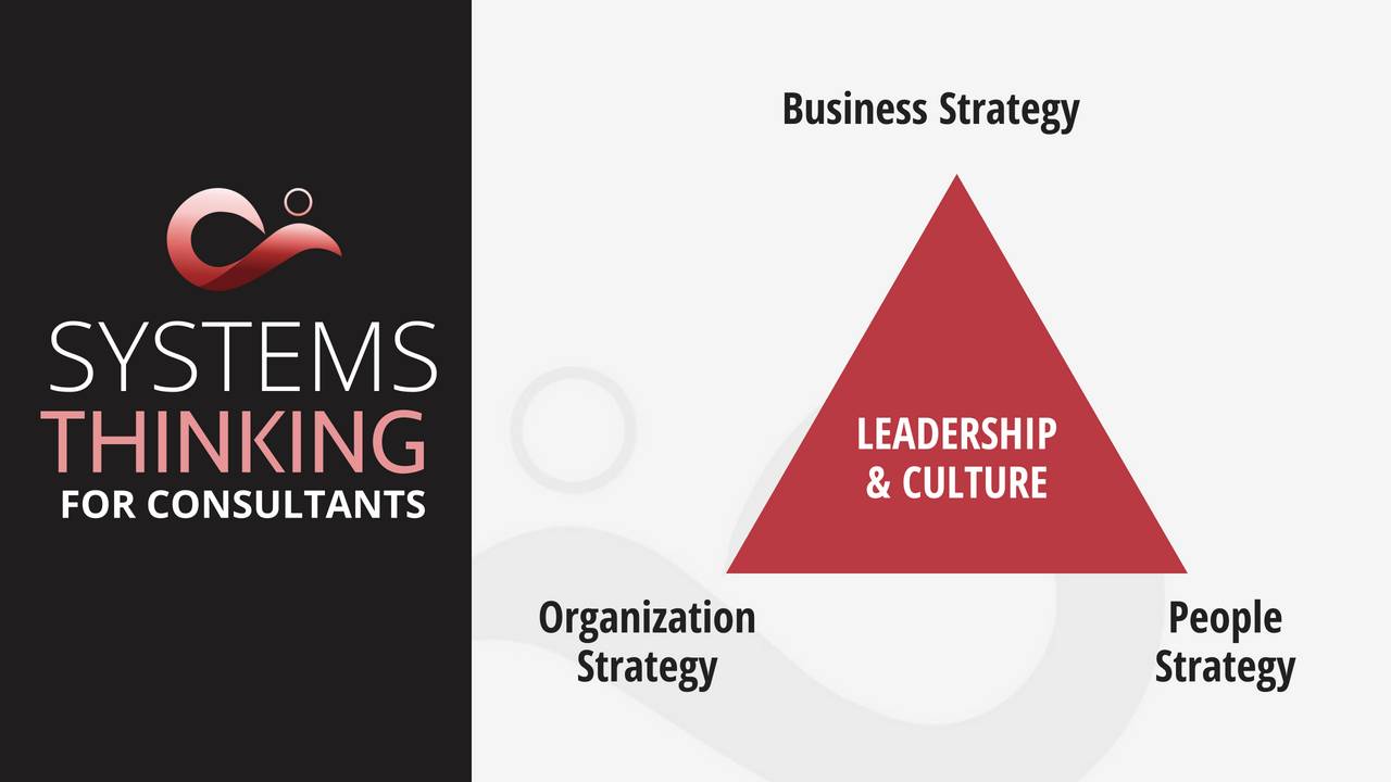 Why Every Consultant NEEDS Systems Thinking