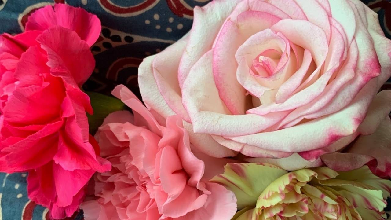 Meet the Bhakti Rose Team | BHAKTI ROSE