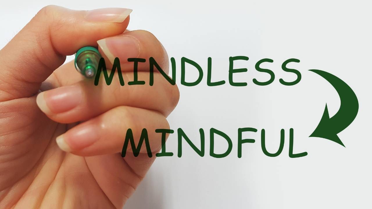 Mindful vs Mindless Eating