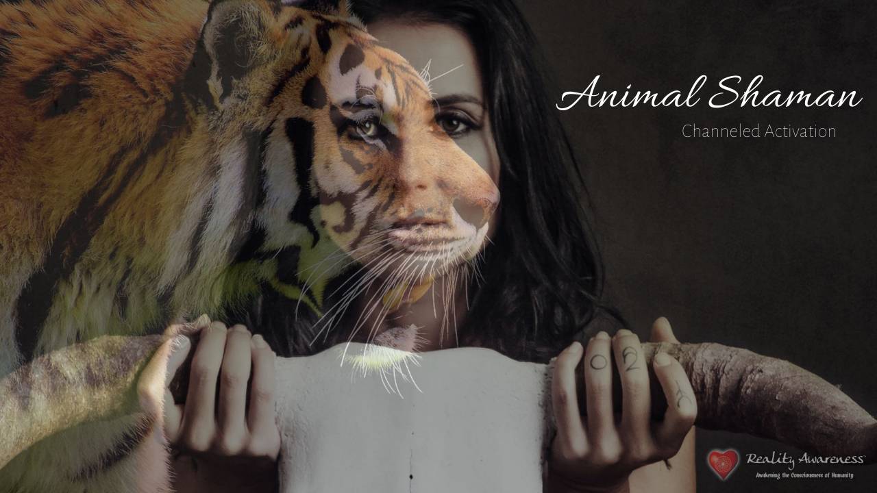 Animal Shaman