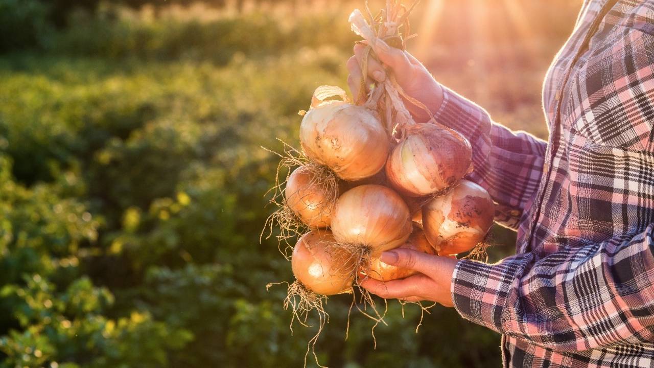 Getting Started With Seasonal Eating