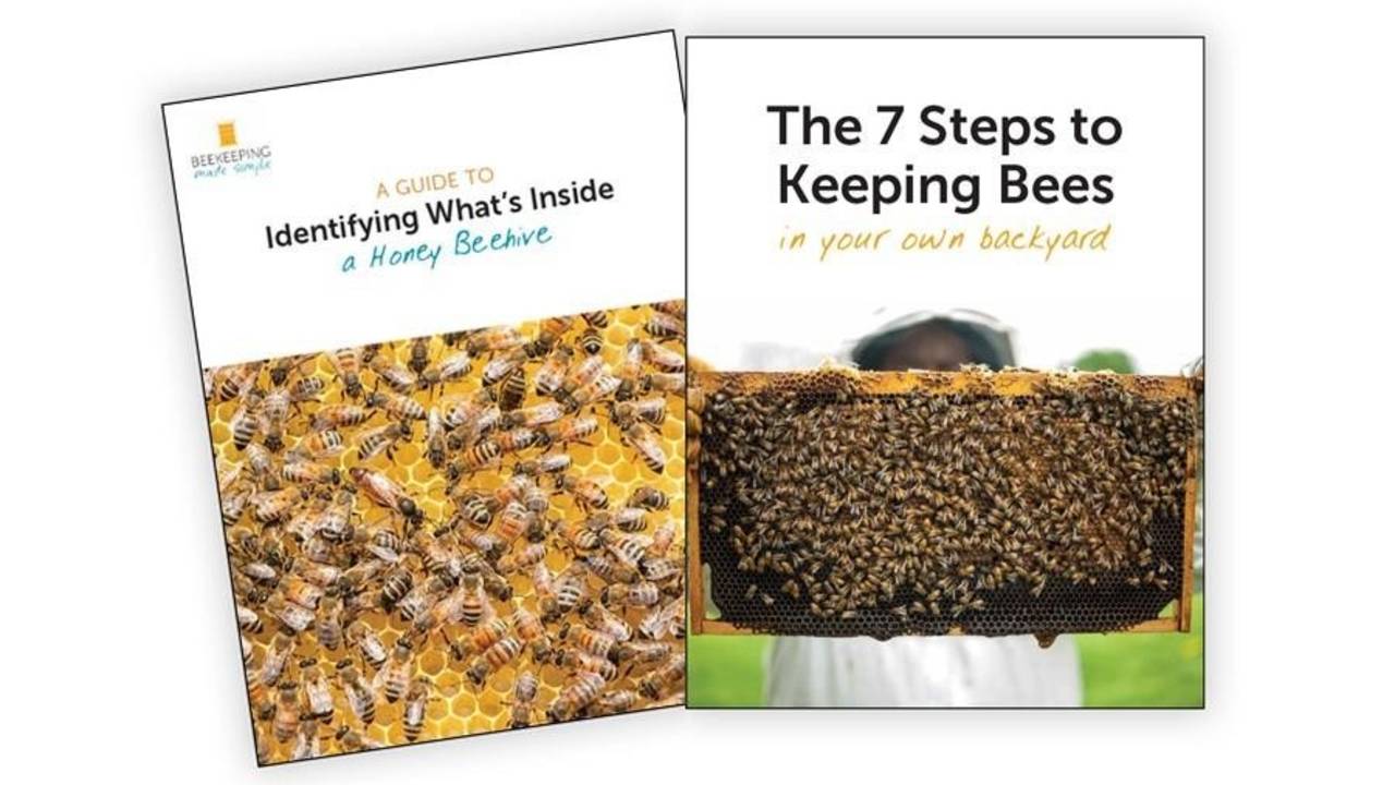 Thank you for joining our newsletter. Here's a free beekeeping book!