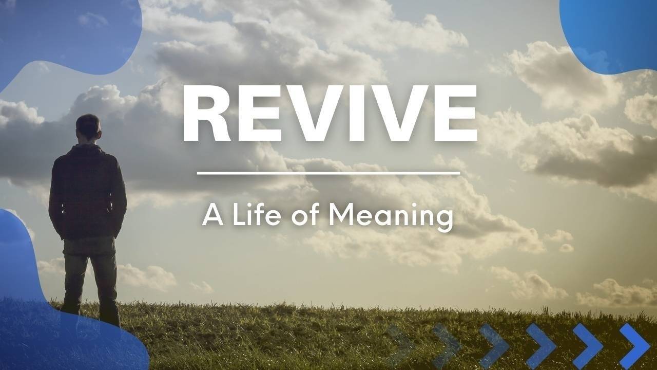 Welcome to REVIVE - designed to help you discover A Life of Meaning
