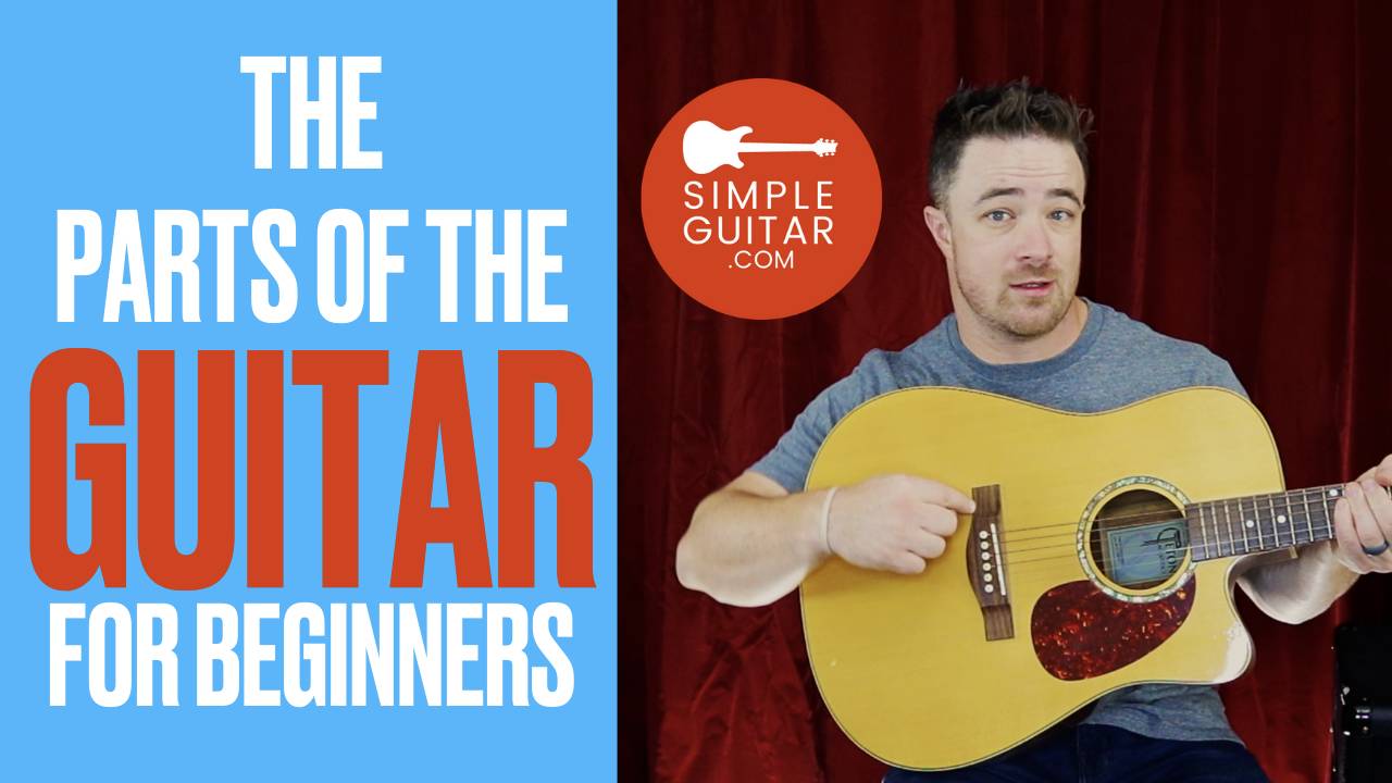 The Parts of the Guitar for Beginners - Total Beginner Guitar Lessons