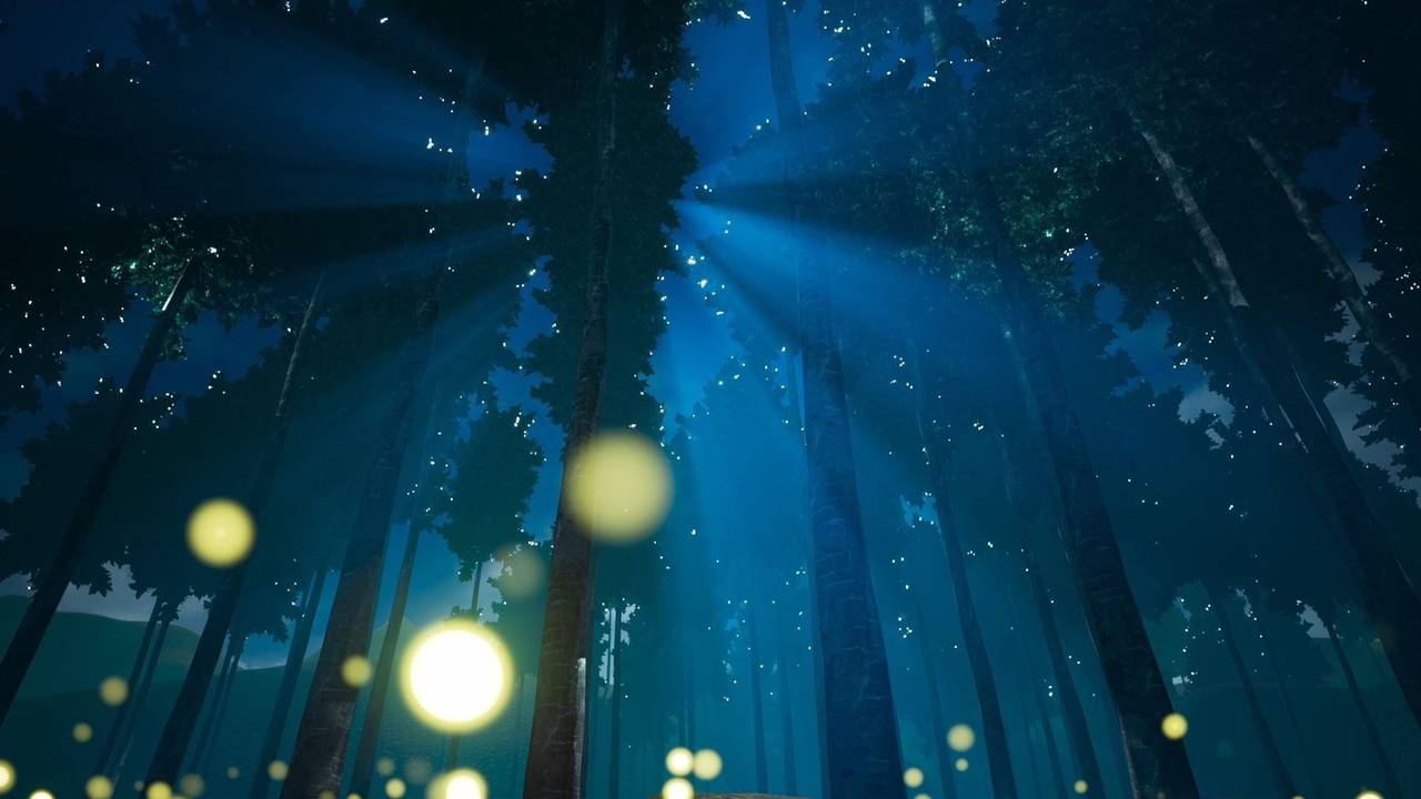 CG Pro Admissions Inquiry