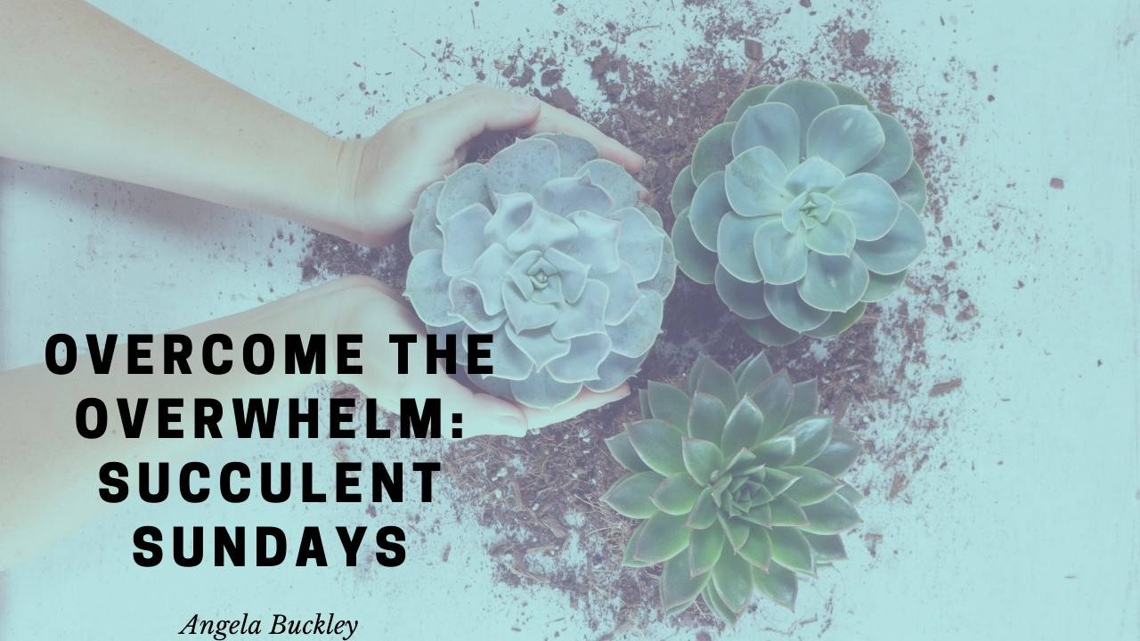 Overcome the Overwhelm: Introduction to Succulent Sundays
