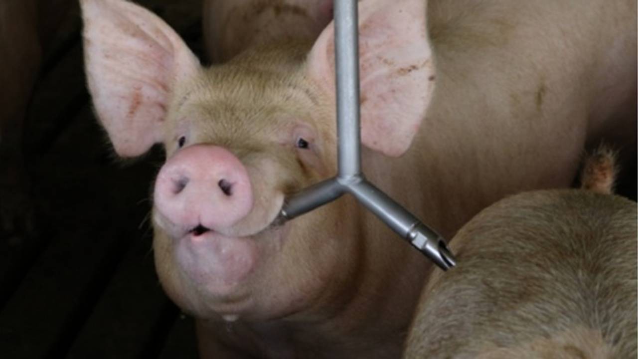 How good is the water? 💦