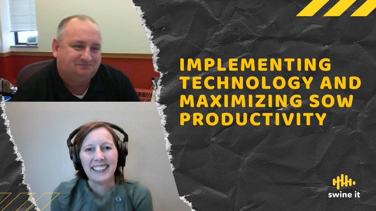 Implementing technology and maximizing sow productivity